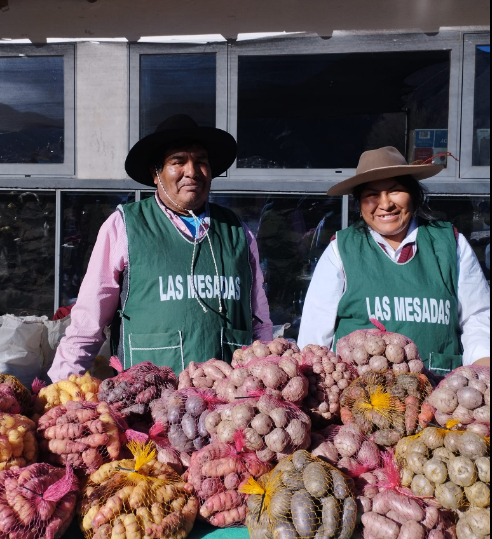 Pequeños productores visibilizaron las bondades de la papa andina en ...